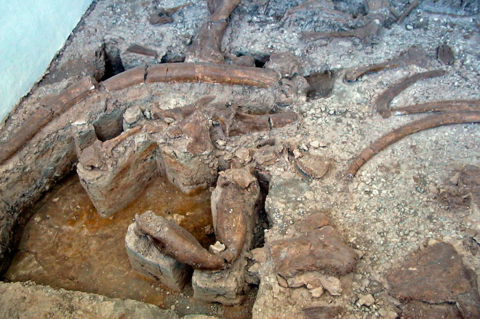 Valle de Ambrona | Yacimientos arqueológicos CYL